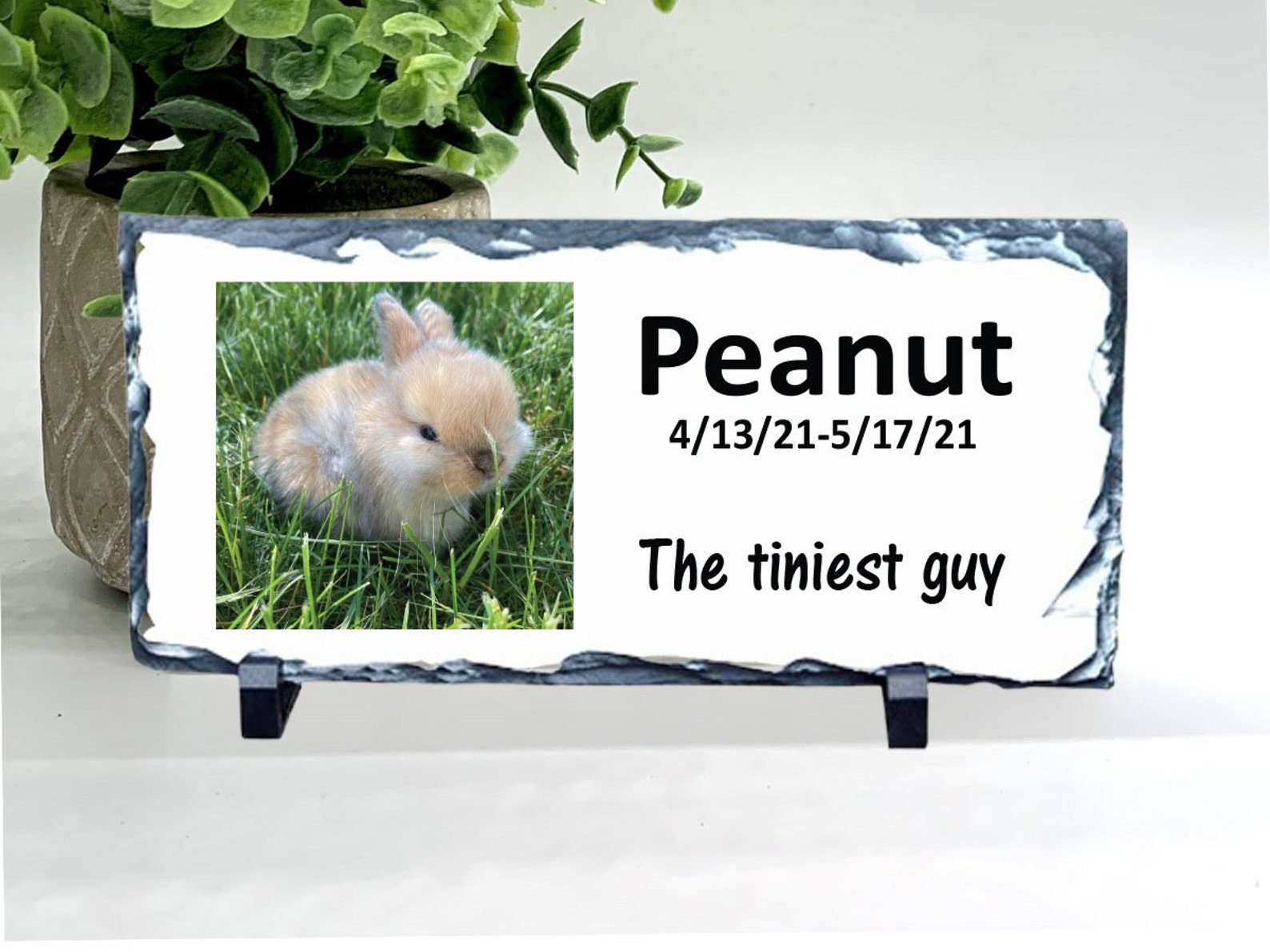 Rabbit Memorial Stone With Photo - Custom Rabbit Memorial- Personalized ...