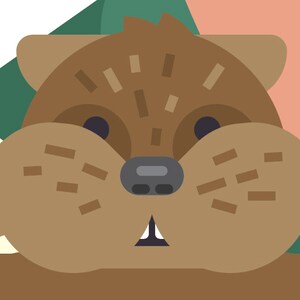 Caddyshack Poster - Etsy