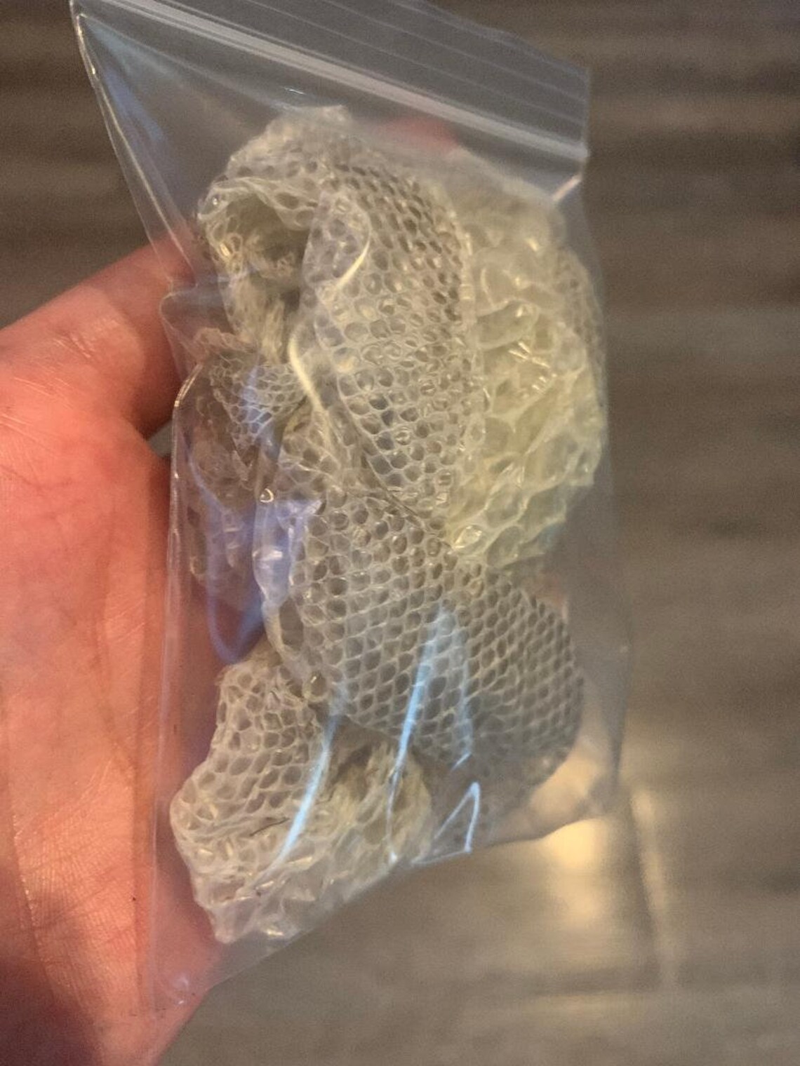 Snake Skin Shed Bag Natural Python Snake Shed Various Sizes - Etsy