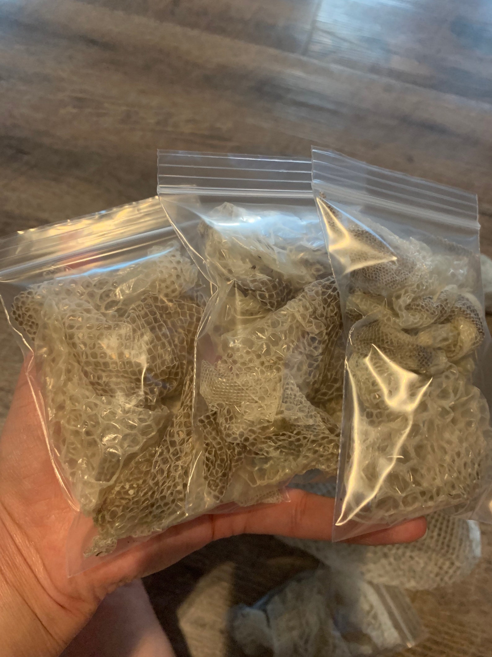 Snake Skin Shed Bag Natural Python Snake Shed Various Sizes - Etsy