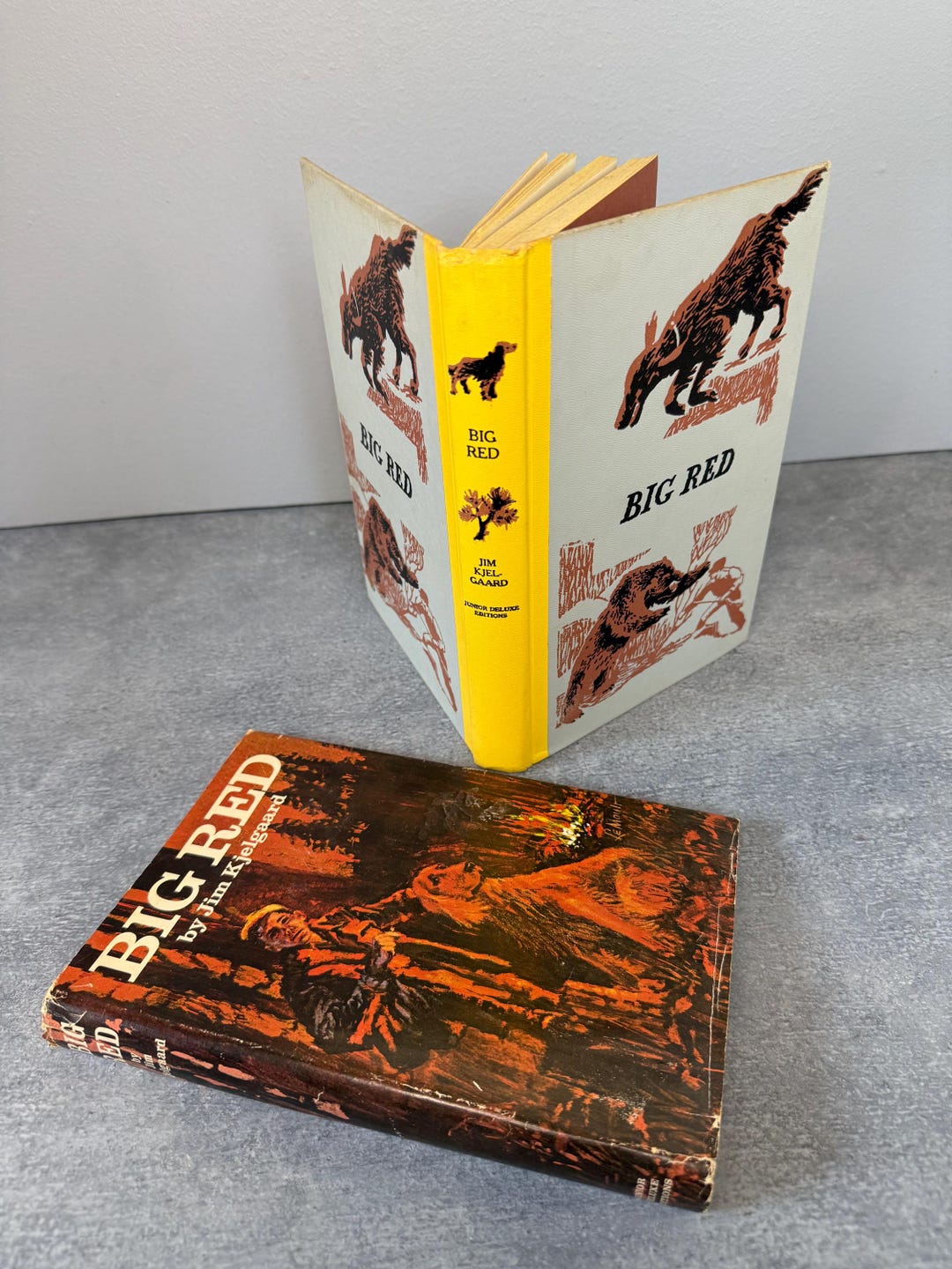 Big Red, by Jim Kjelgaard, 1945, Dog Story, Vintage Collectible Book ...