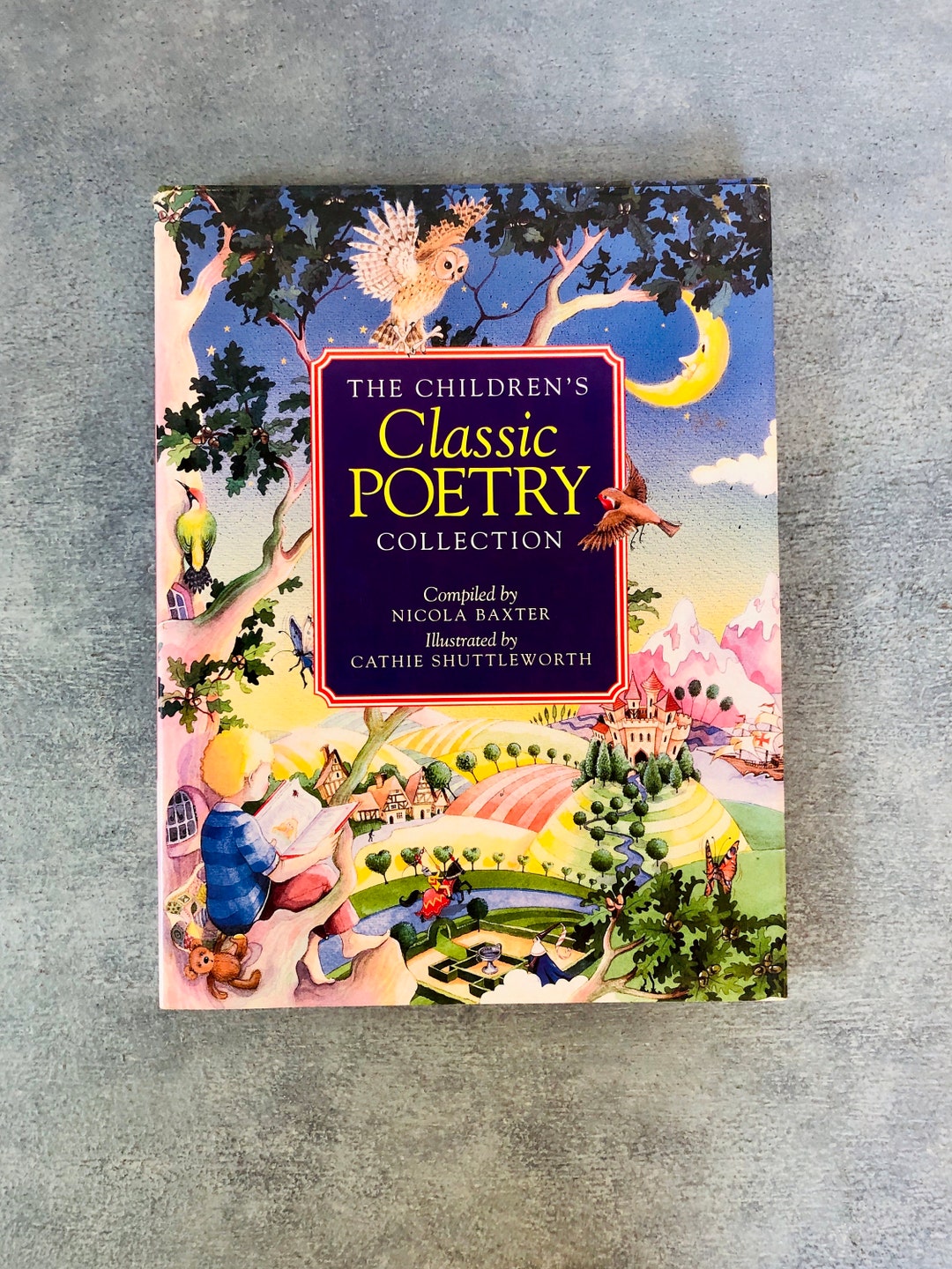 Vintage Children's Classic Poetry Book: Illustrated Hardcover, 1996 - Etsy