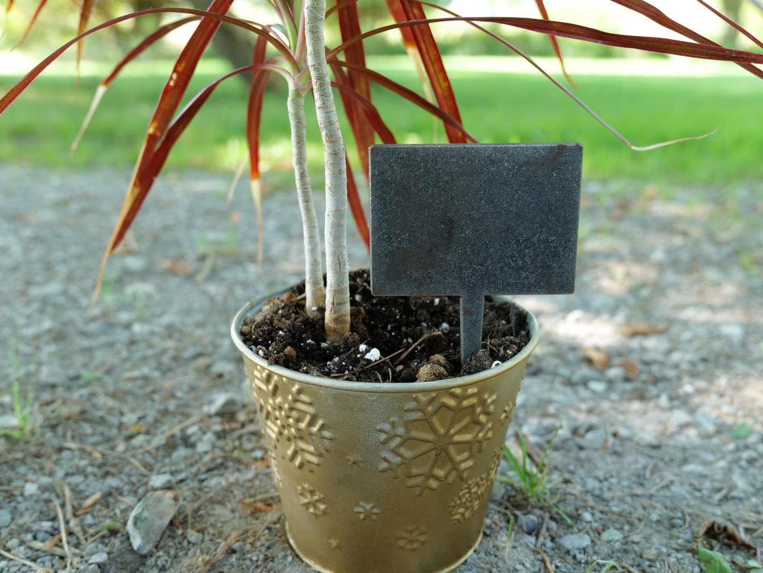 Colorado Garden Stake * CO State Metal Planter Decoration * House Plant ...