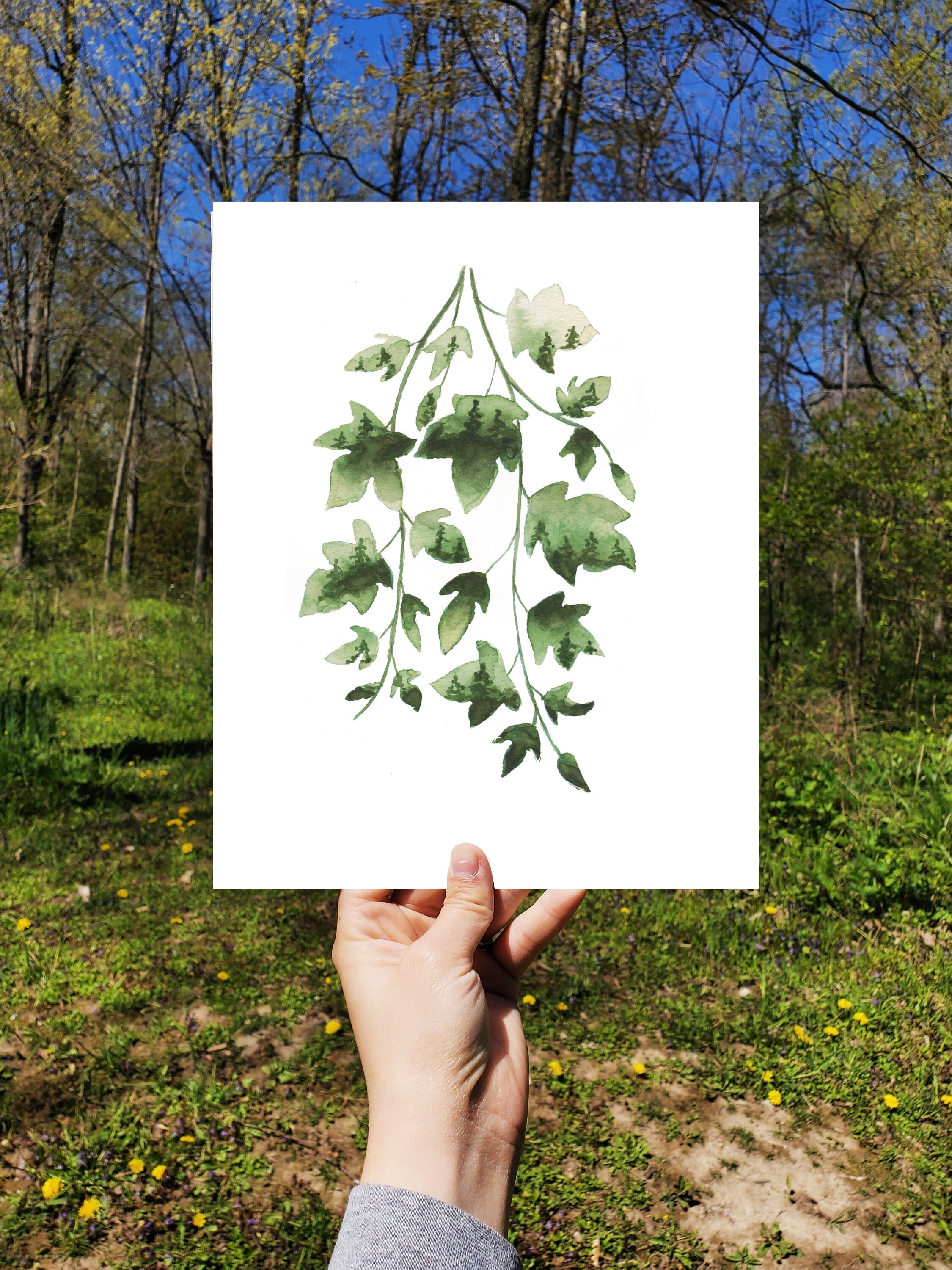 Efeu Aquarell Druck | Minimalistischer Kunstdruck - Etsy.de