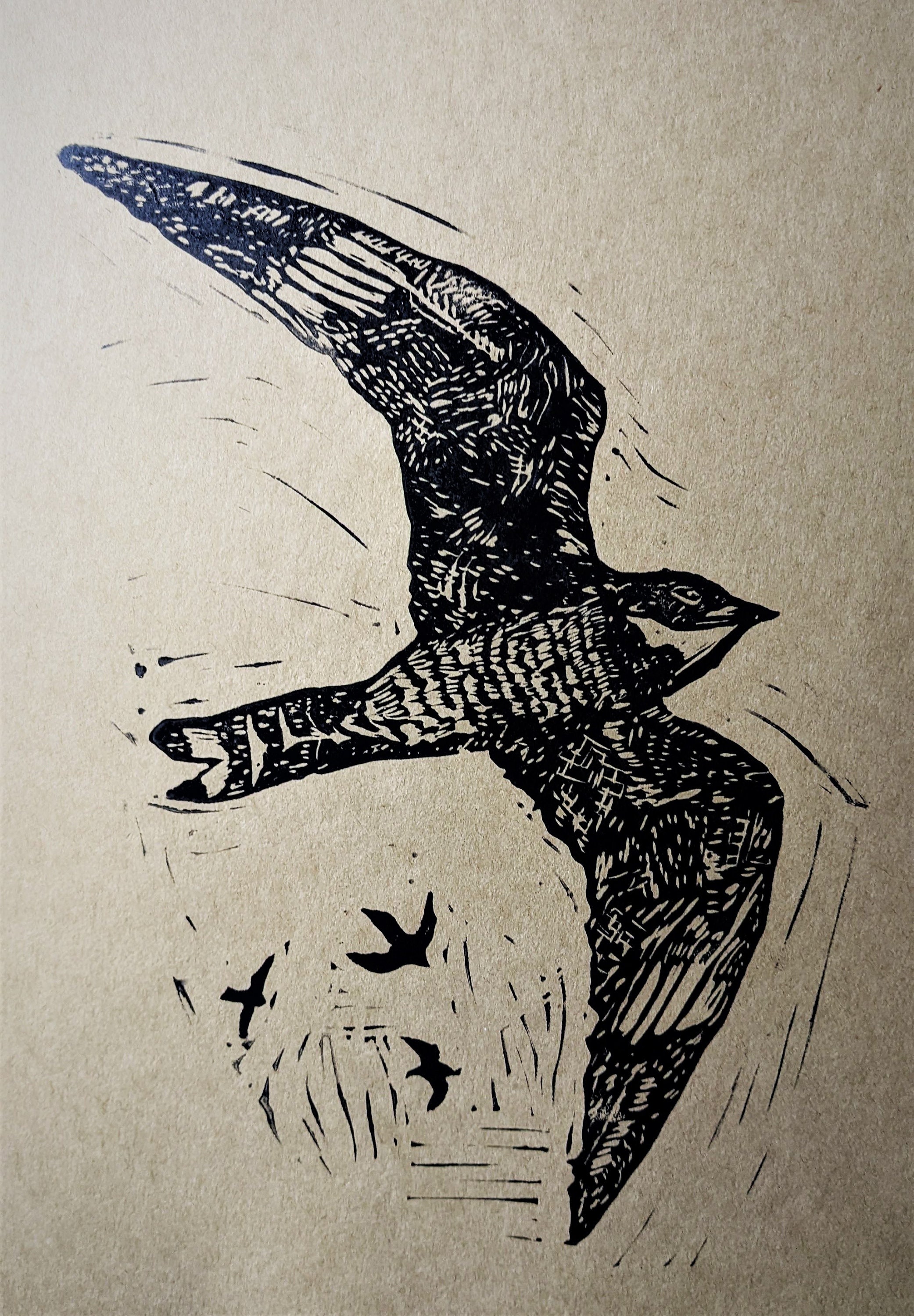 Common Nighthawk on Kraft - Etsy