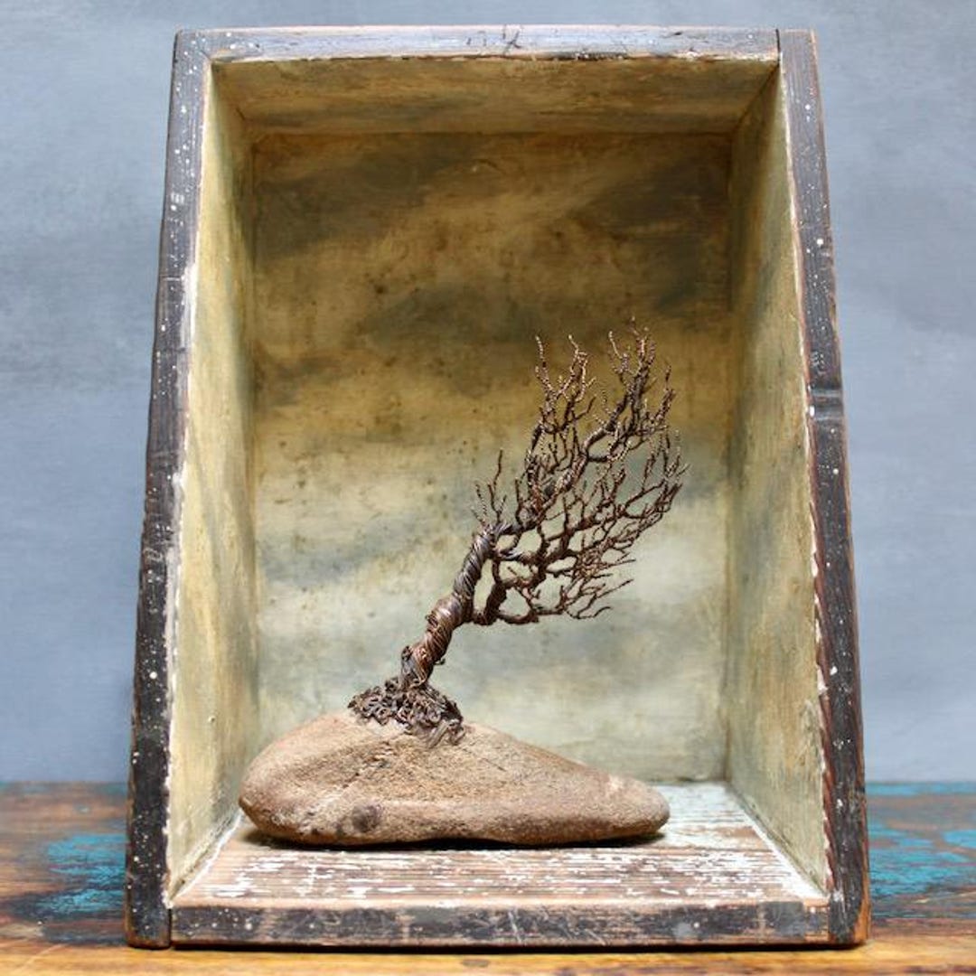 Boxed Landscape, Tree Sculpture, Skyscape, Old Wooden Box - Etsy