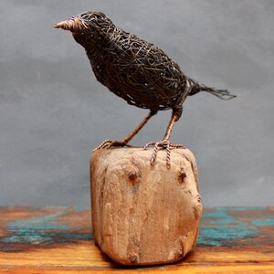 Mischief Maker Crow, Crow, Copper Bird Sculpture, - Etsy