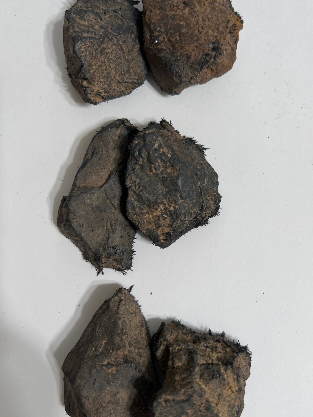 Lodestone Male and Female Pair, Gram Weight for Pair 100, Raw Natural ...