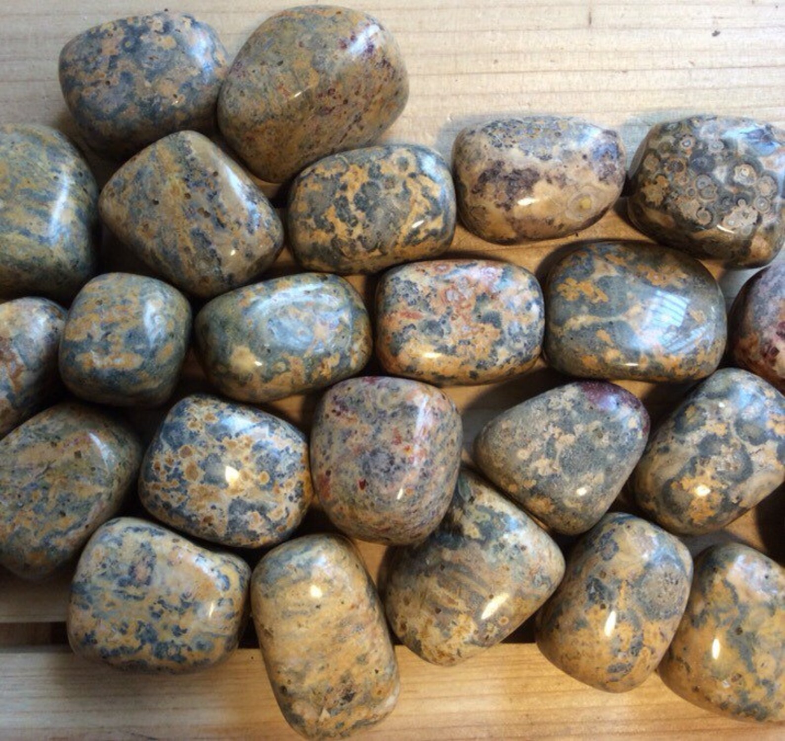 Leopard Jasper Large Tumbled Stone Healing Stone Healing - Etsy