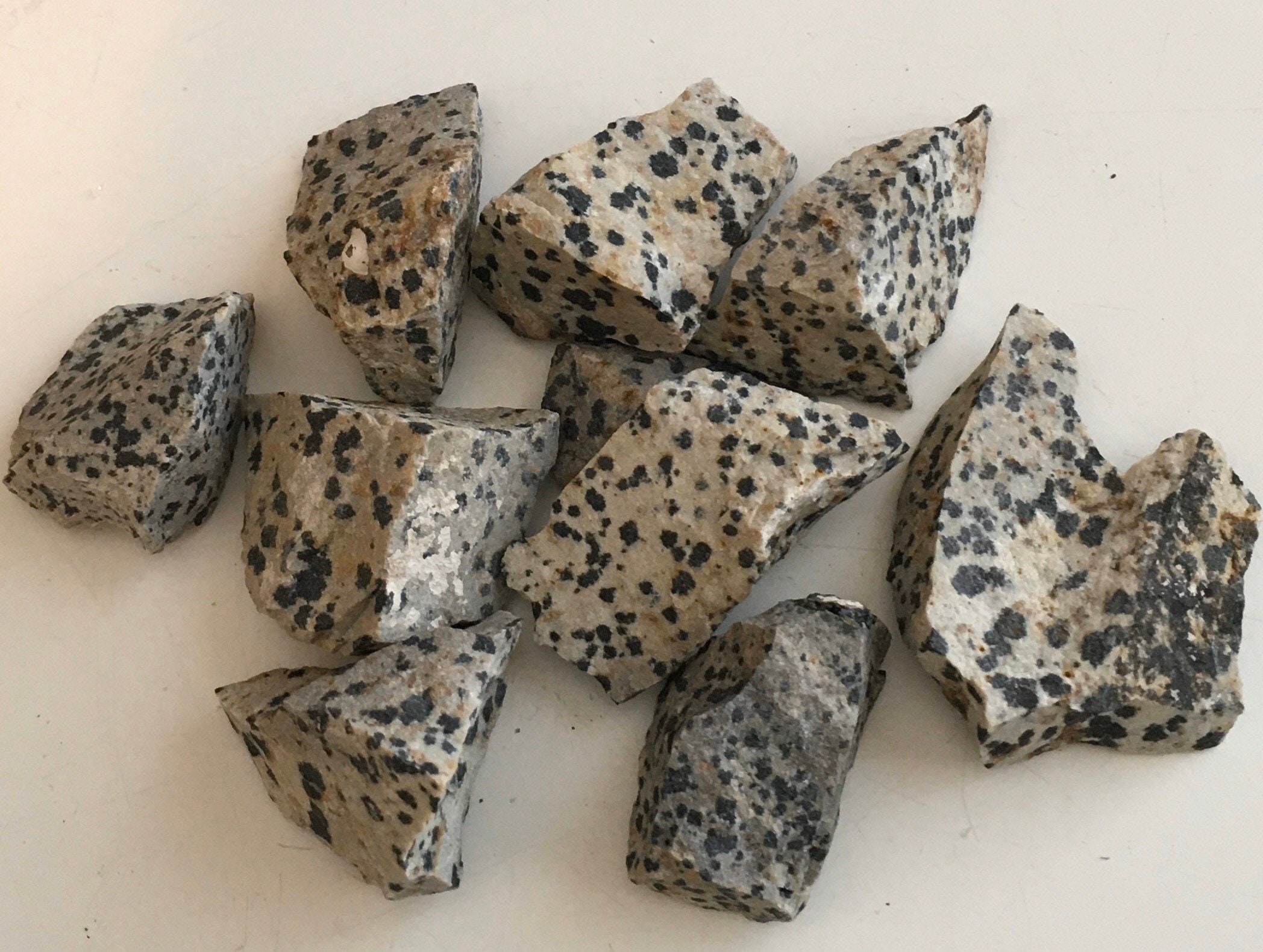 Dalmatian Jasper Natural Raw Stonehealing Crystals and | Etsy