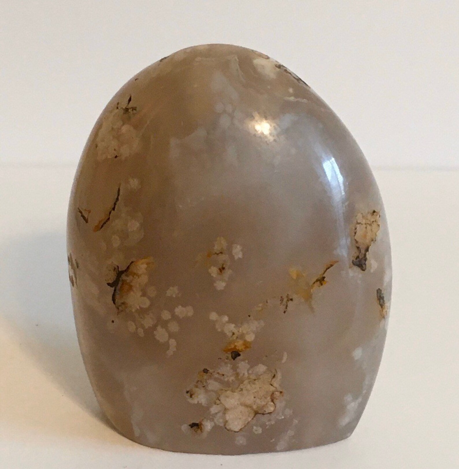 Agate Polished Standing Free Form Coral Flower Agate Free - Etsy