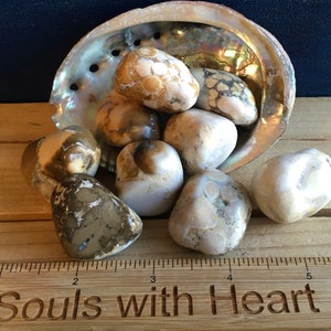 Spotted Agate Large Tumbled Stone Healing Crystals and - Etsy