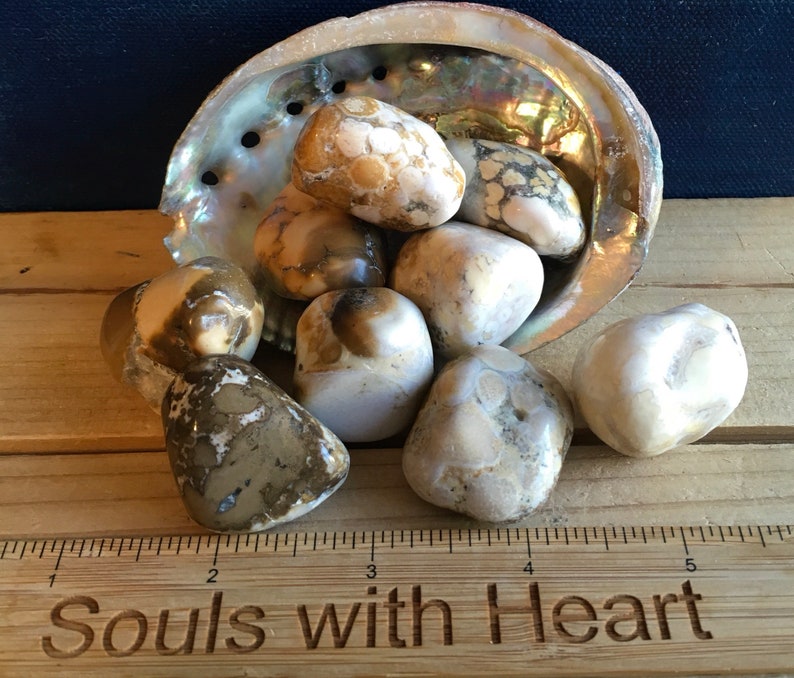 Spotted Agate Large Tumbled Stone Healing Crystals and | Etsy