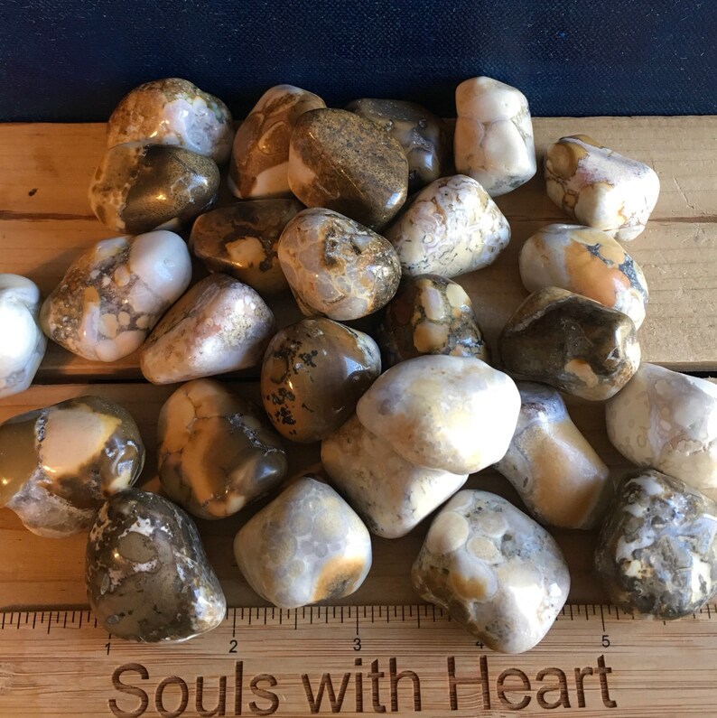 Spotted Agate Large Tumbled Stone Healing Crystals and | Etsy