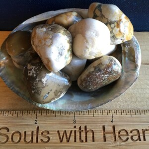 Spotted Agate Large Tumbled Stone Healing Crystals and - Etsy