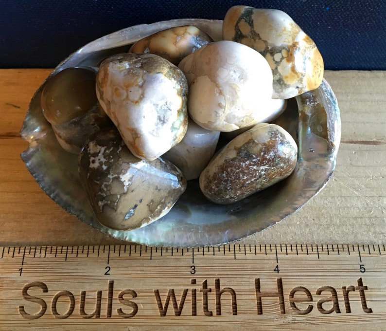 Spotted Agate Large Tumbled Stone Healing Crystals and | Etsy