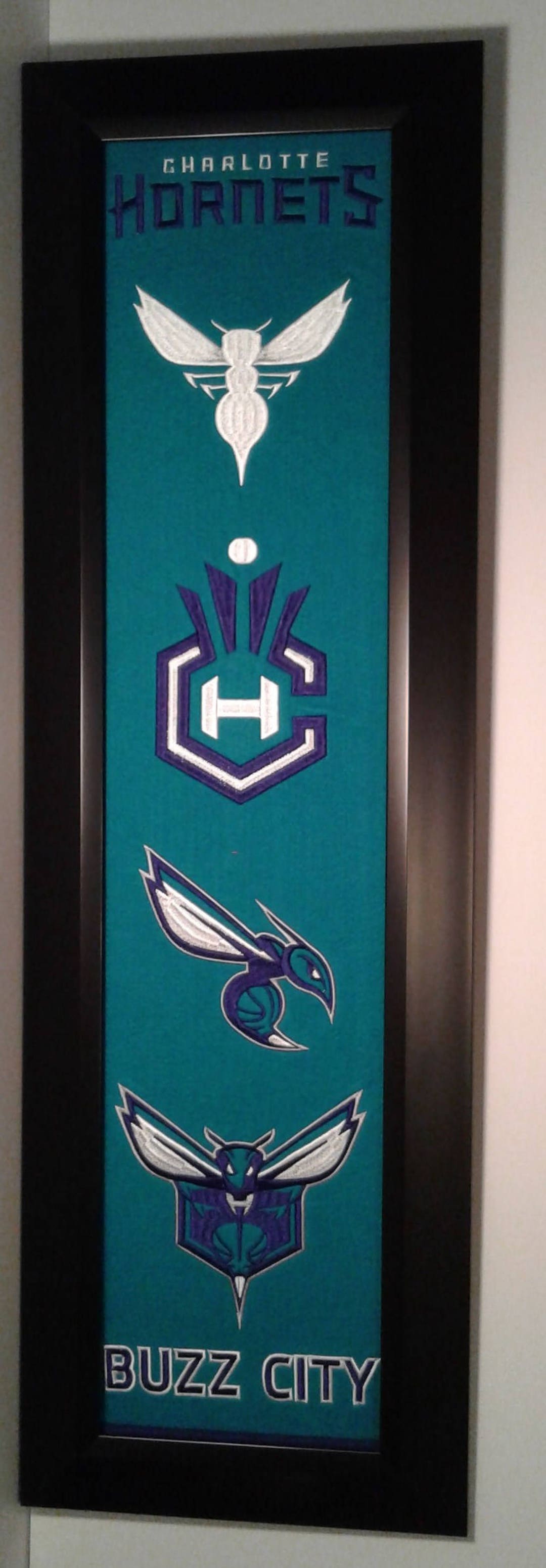 Charlotte Hornets Team Heritage Banner....framed - Etsy