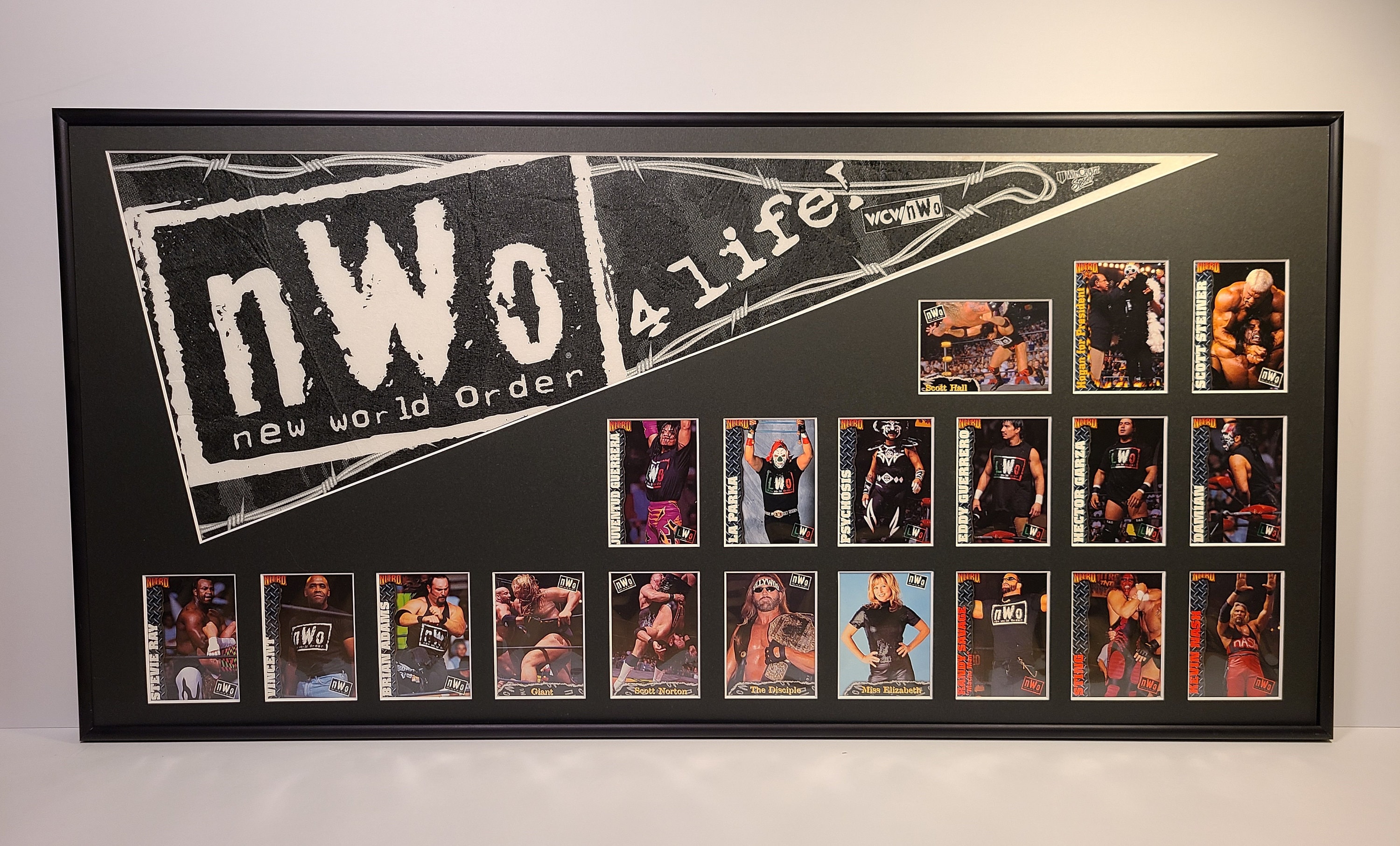 Vintage WCW/NWO for Life Wrestling Pennant & Card Collage...custom ...