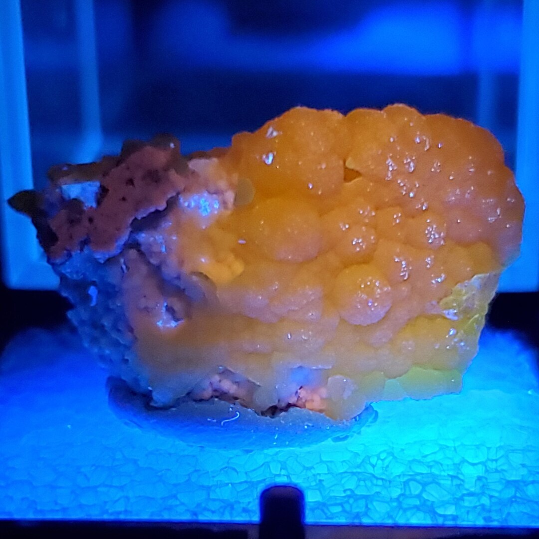 Fluorescent Botryoidal Yellow Mimetite With Minor Wulfenite, La Morita ...