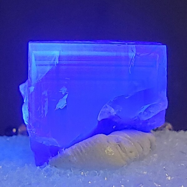 Fluorescent Mineral Display Case - Etsy