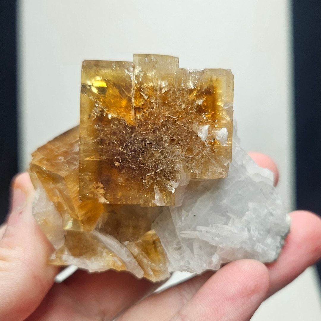 Clay Center Fluorite Cluster on Celestite From Clay Center Ohio / RARE ...