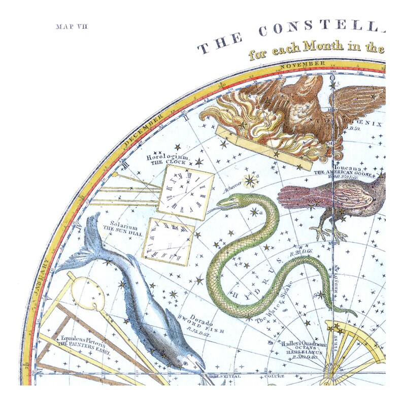 Hand Painted Map of the Stars, Southern Constellations 1856 / Map of ...