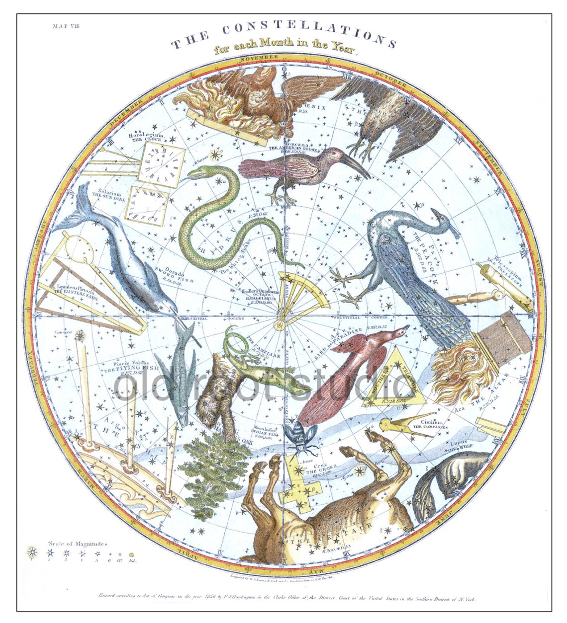 Hand Painted Map of the Stars, Southern Constellations 1856 / Map of ...