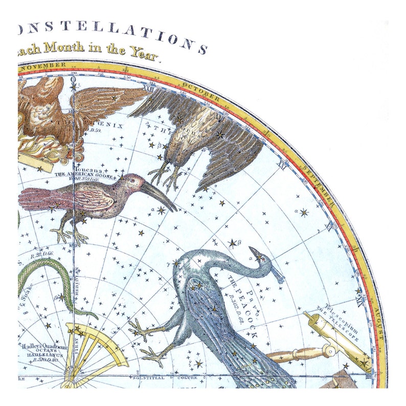 Hand Painted Map of the Stars, Southern Constellations 1856 / Map of ...