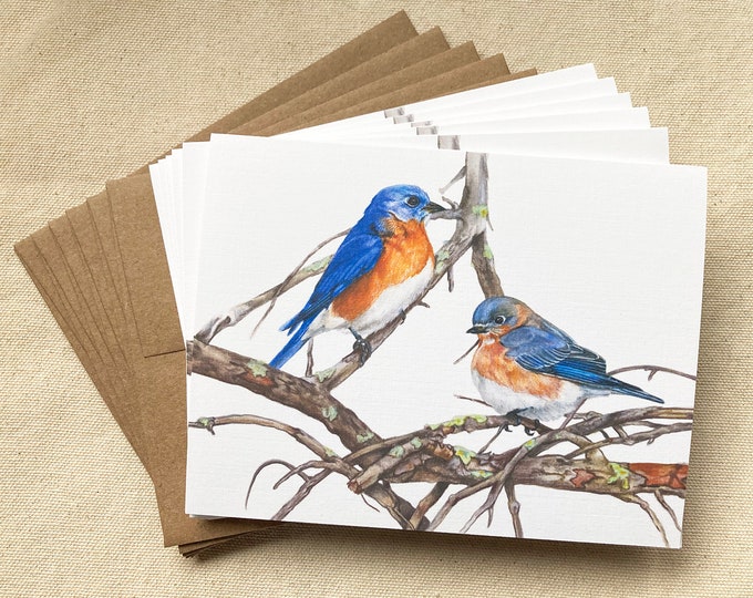 Bluebird Notecards With Envelopes, Folded Note Cards With Name, Blank ...