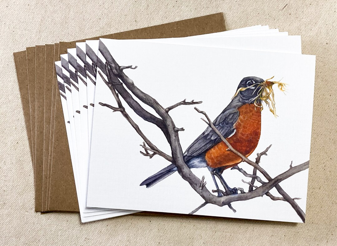 American Robin Note Cards - Etsy