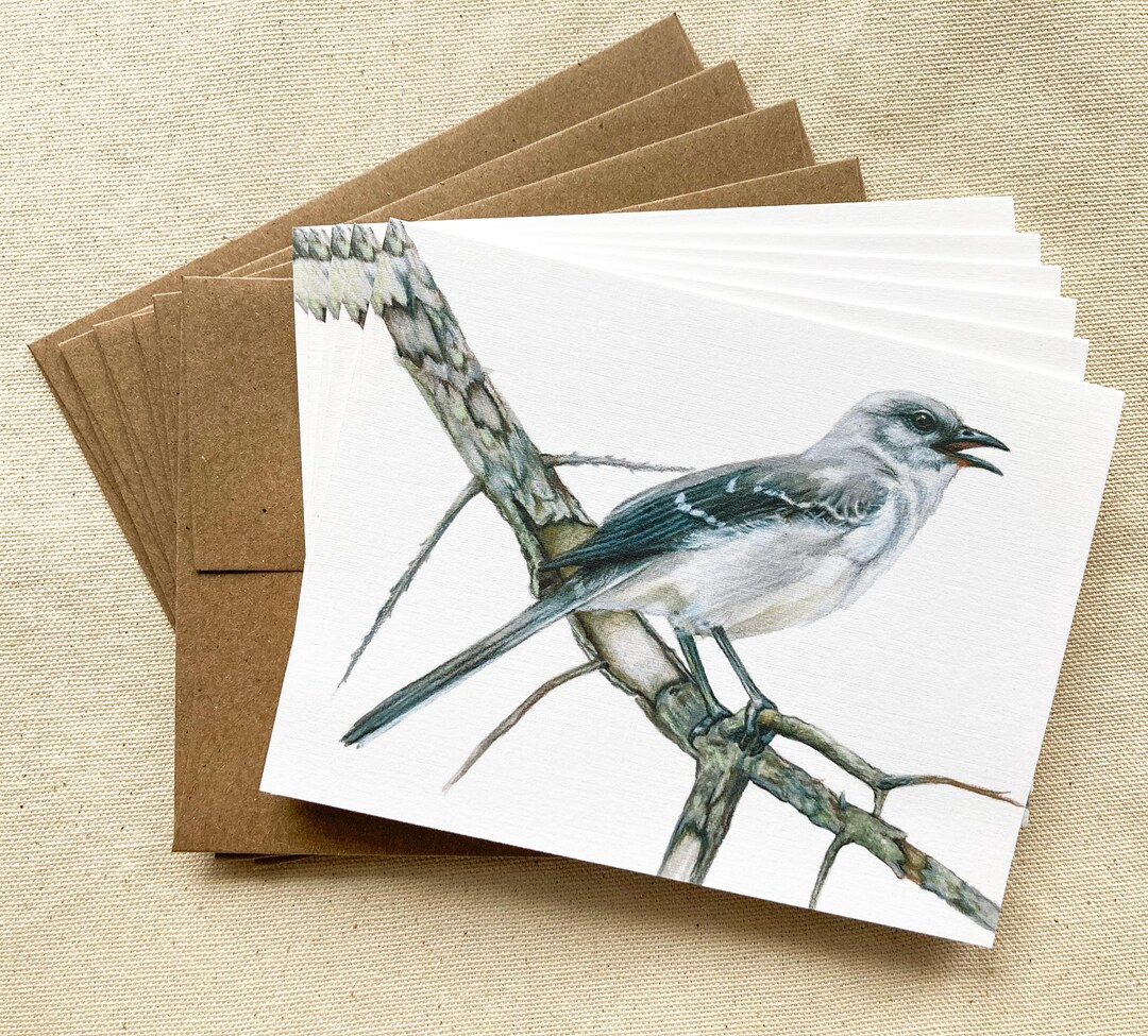 Northern Mockingbird Note Cards - Etsy