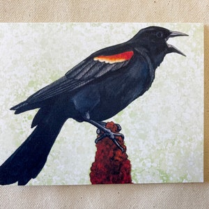Red-winged Blackbird Note Cards - Etsy