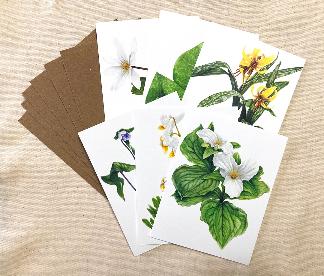 Spring Wildflower Note Cards - Etsy