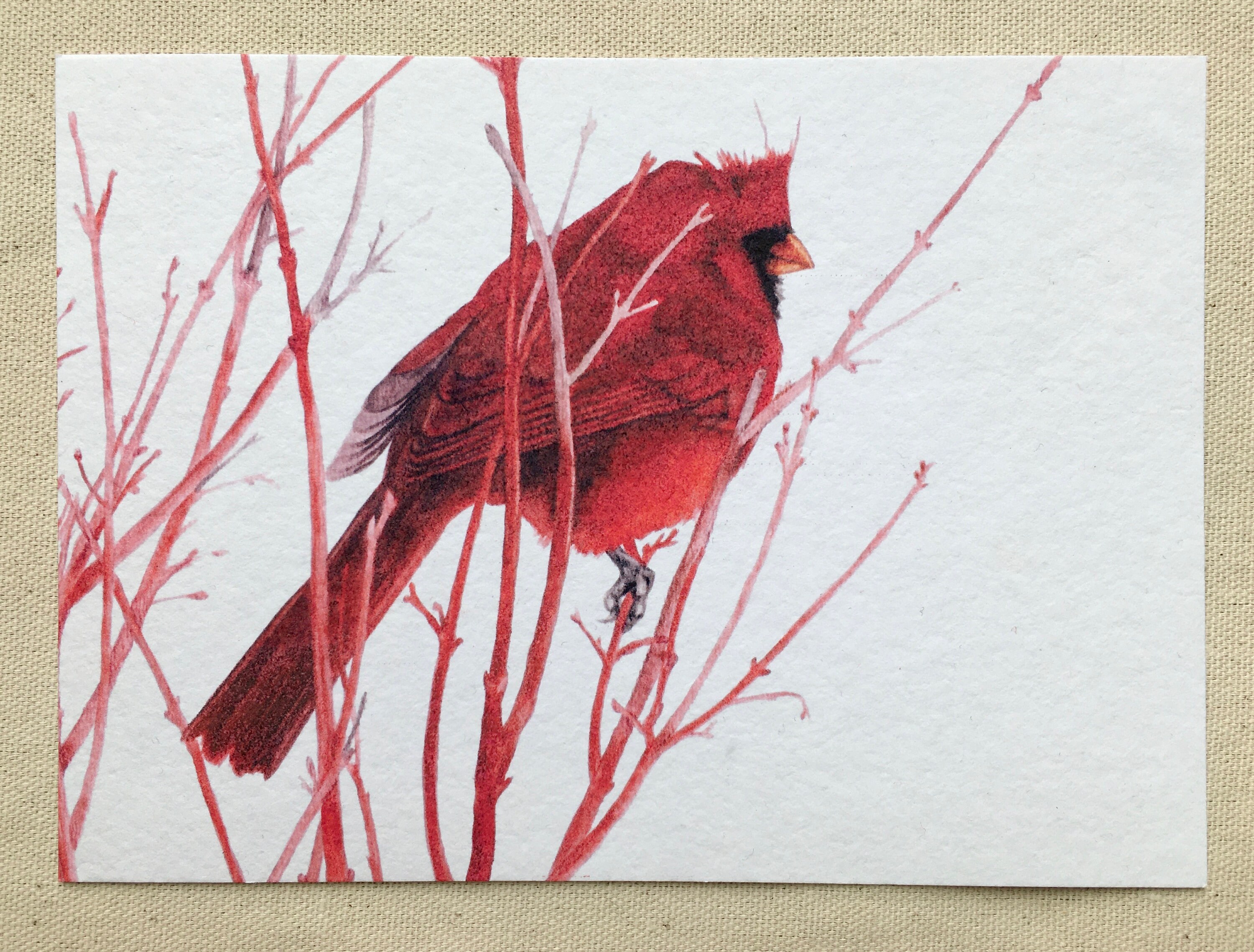 Northern Cardinal Watercolor Art Print - Etsy
