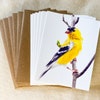 Spring Robin Photograph Card, Wildlife Blank Card - Etsy Canada