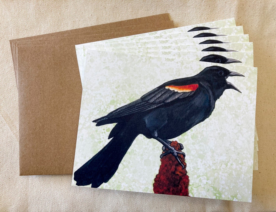 Red-winged Blackbird Note Cards - Etsy
