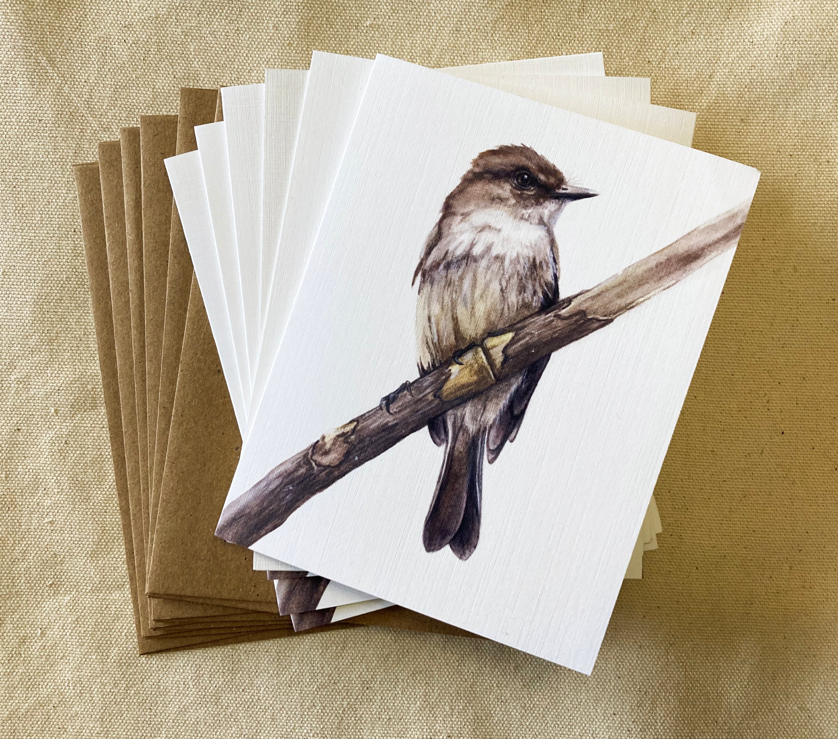 Eastern Phoebe Note Cards - Etsy