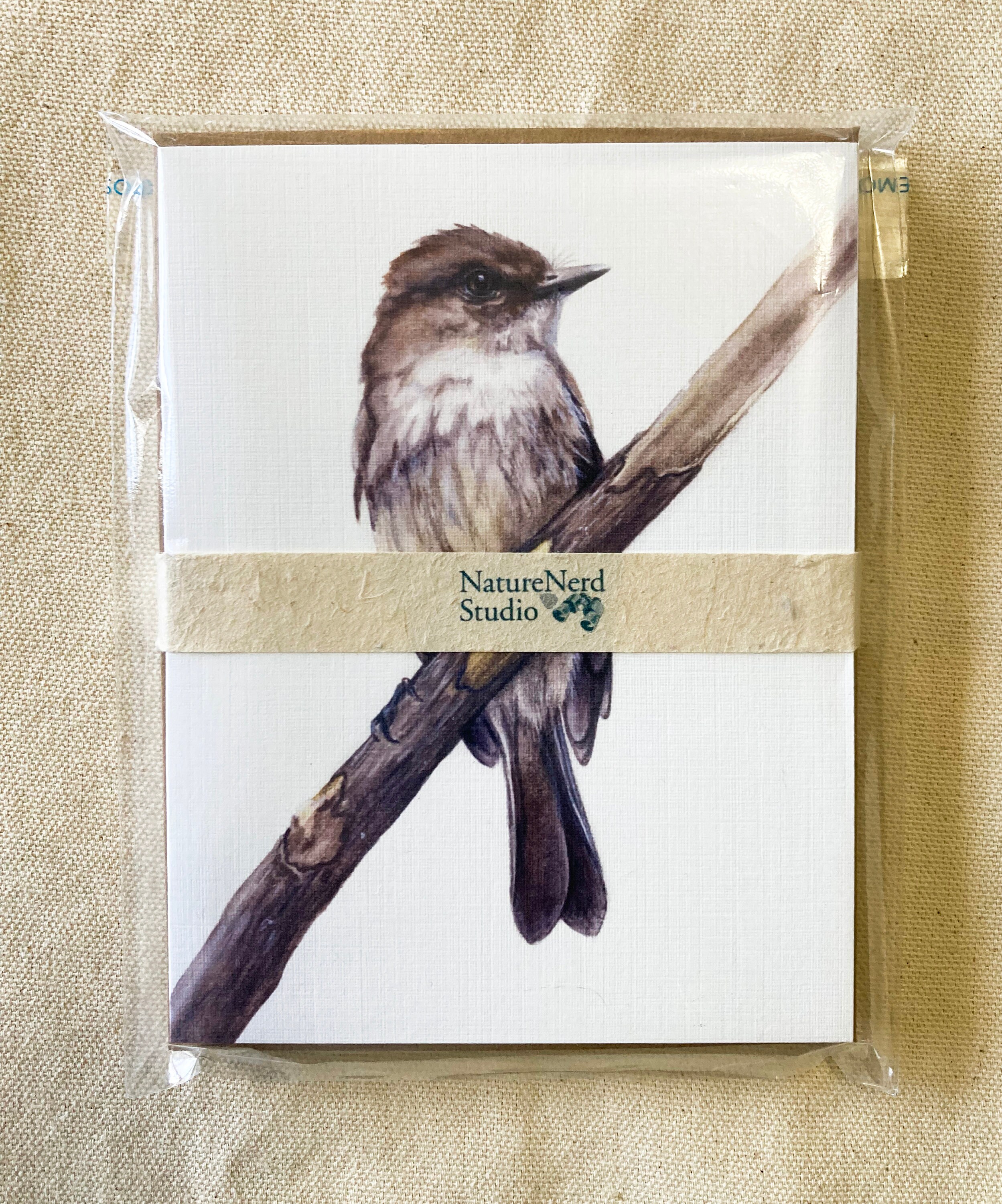 Eastern Phoebe Note Cards - Etsy