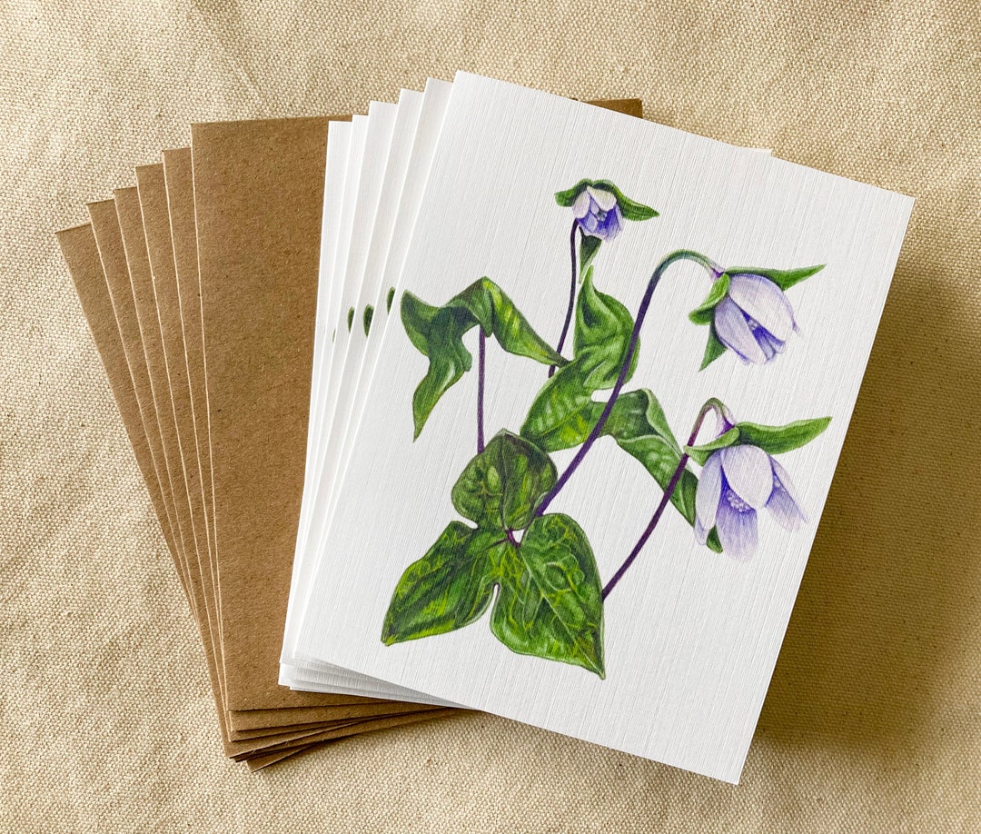Hepatica Americana Note Cards - Etsy