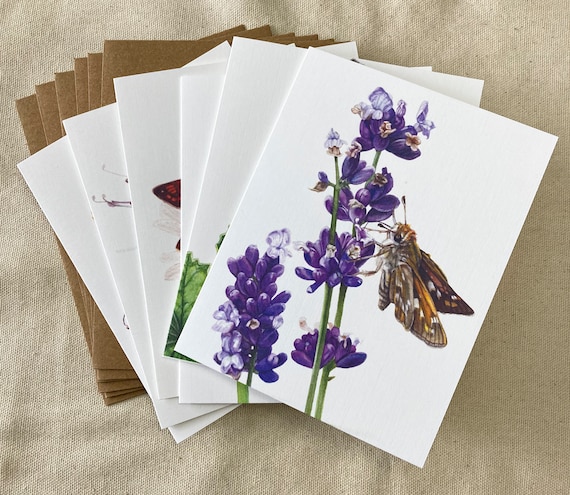 Eastern Skipper Butterfly Note Cards | Etsy