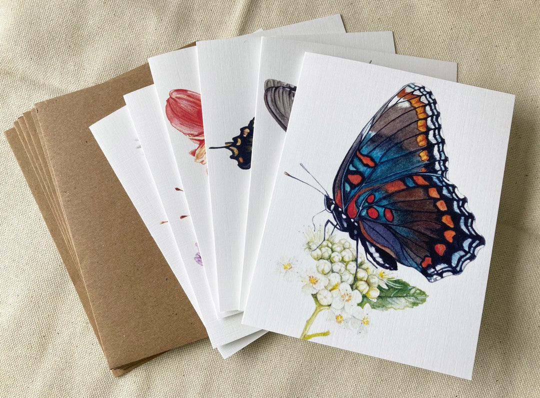 Mid-atlantic Butterfly Note Cards - Etsy