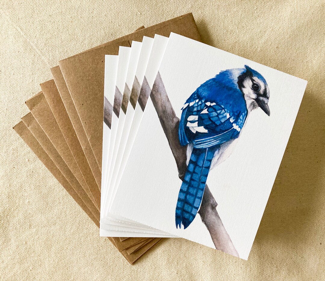 Blue Jay Cards - Etsy