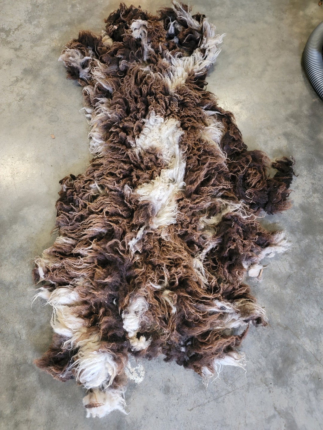 Raw Jacob Sheep Wool lightning - Etsy