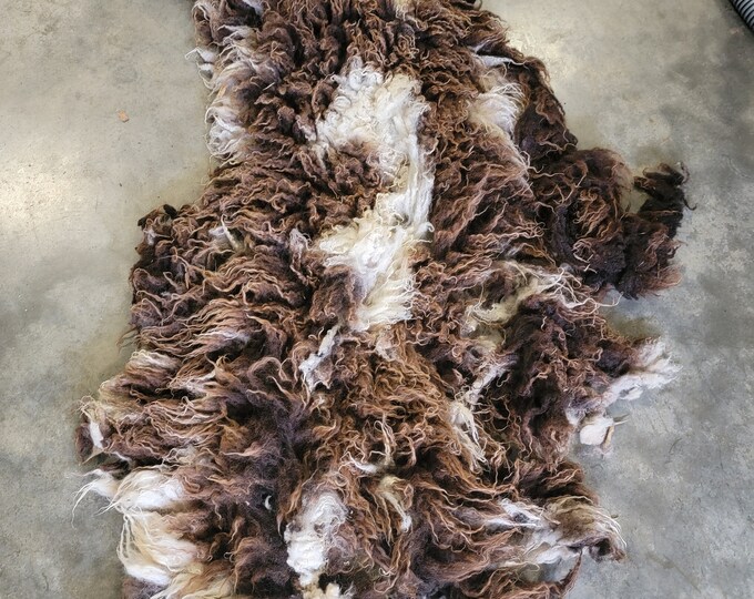 Raw Jacob Sheep Wool (lightning) - Etsy