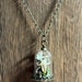 Real Skull Terrarium Curio Necklace - Etsy