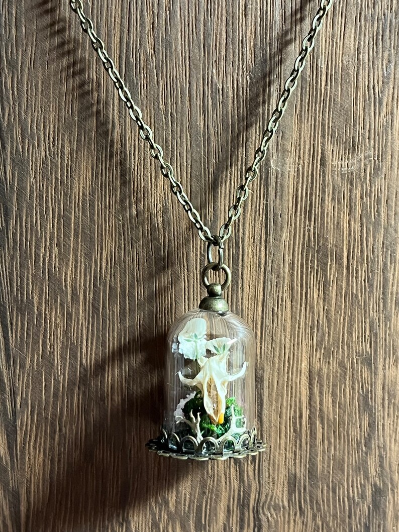 Real Skull Terrarium Curio Necklace - Etsy