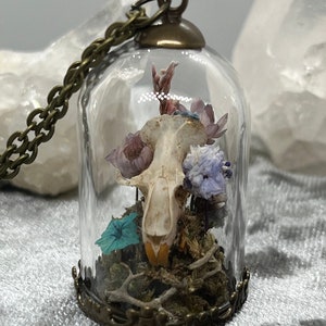 Real Skull Terrarium Curio Necklace - Etsy