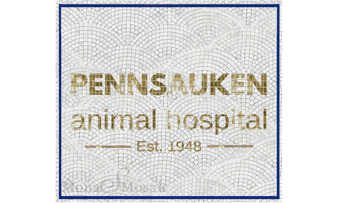 Beautiful Custom Mosaic Floor Lettering, Mosaic Business Logo, Entryway ...