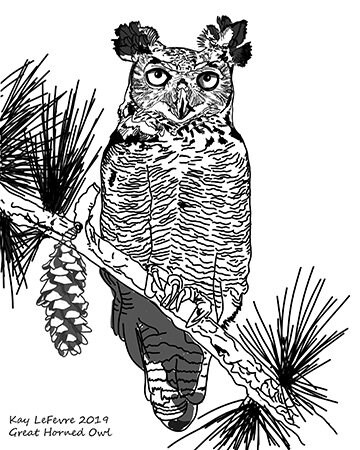 Great Horned Owl Pattern - 36 X 28 - Etsy