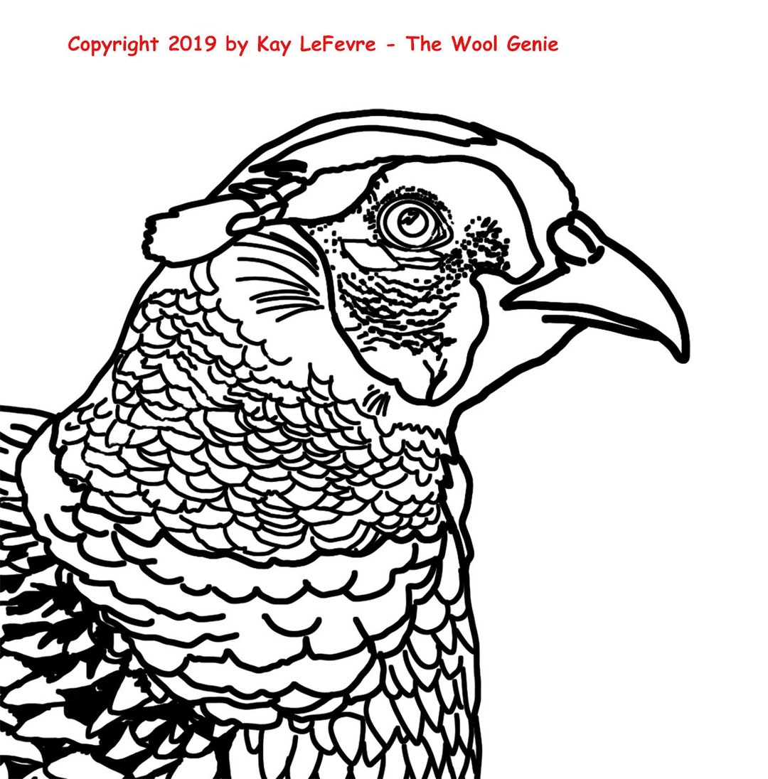 Pheasant - Rug Hooking Pattern - Etsy